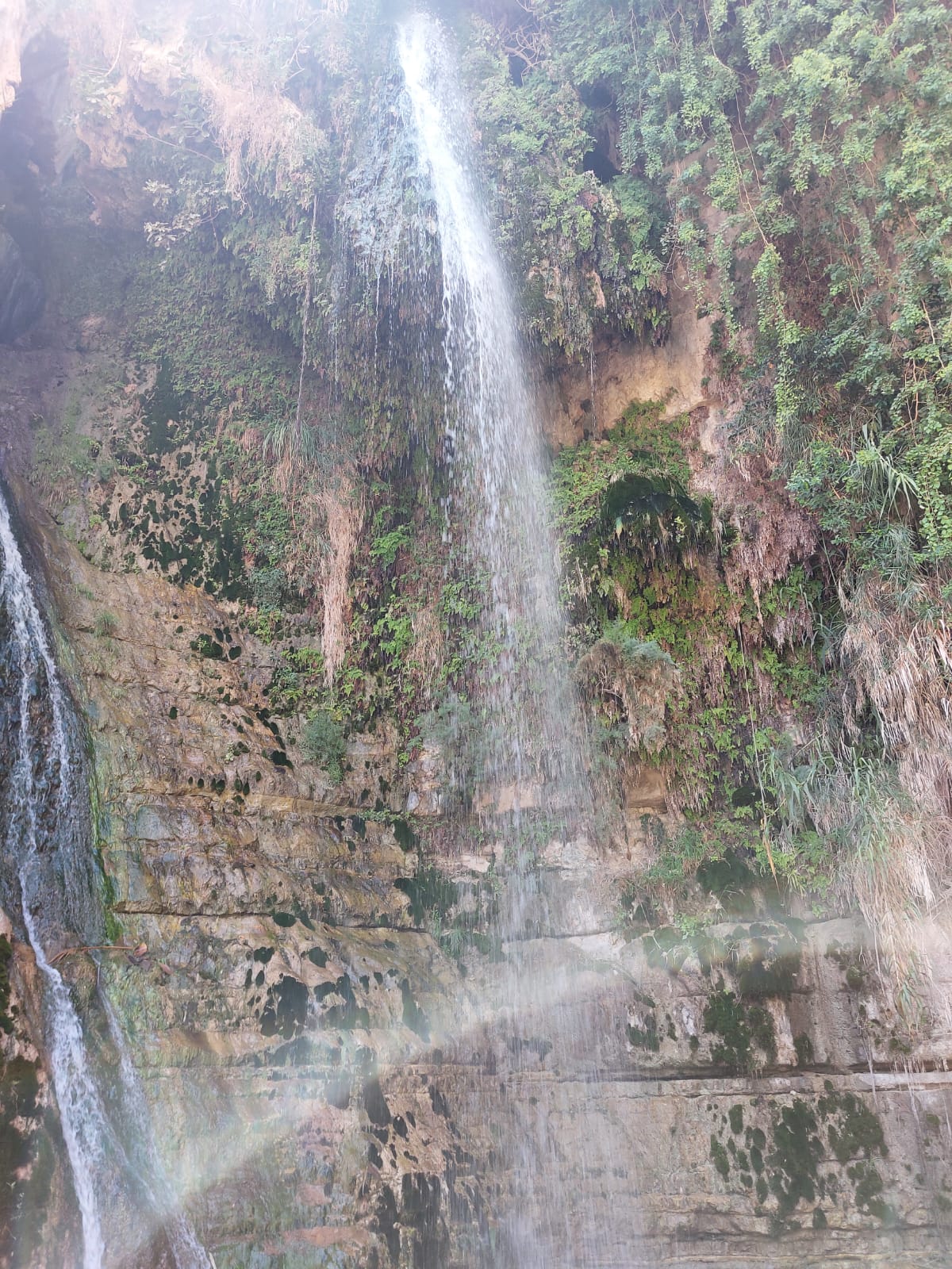 Ein Gedi: David Vs. King Shaul – Nahalatenu